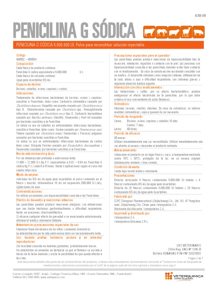 ET Penicilina G Sodica 5.000.000 UI 638 04 PDF | PDF | Penicilina | Las bacterias