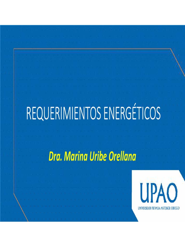 S4 - PPT Requerimientos Energéticos | PDF