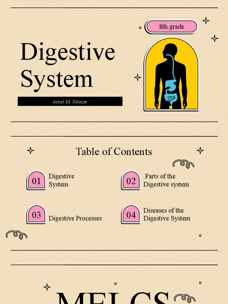 Digestive System Slide | PDF | Human Digestive System | Digestion