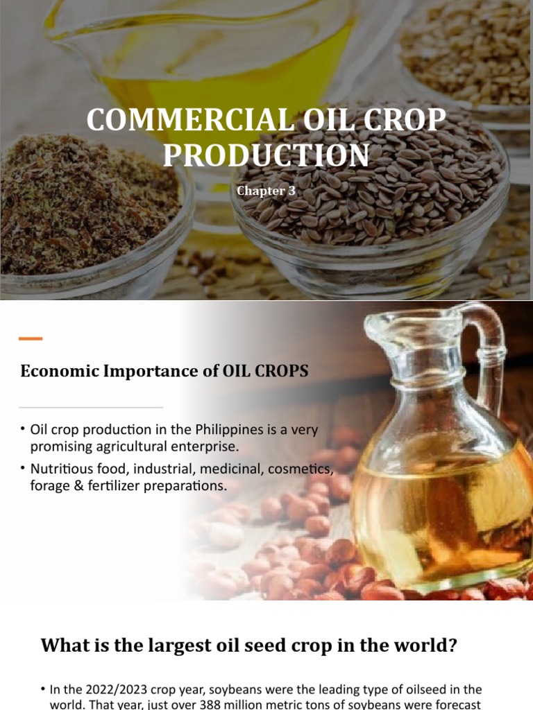Global Oil Crop Production Overview | PDF