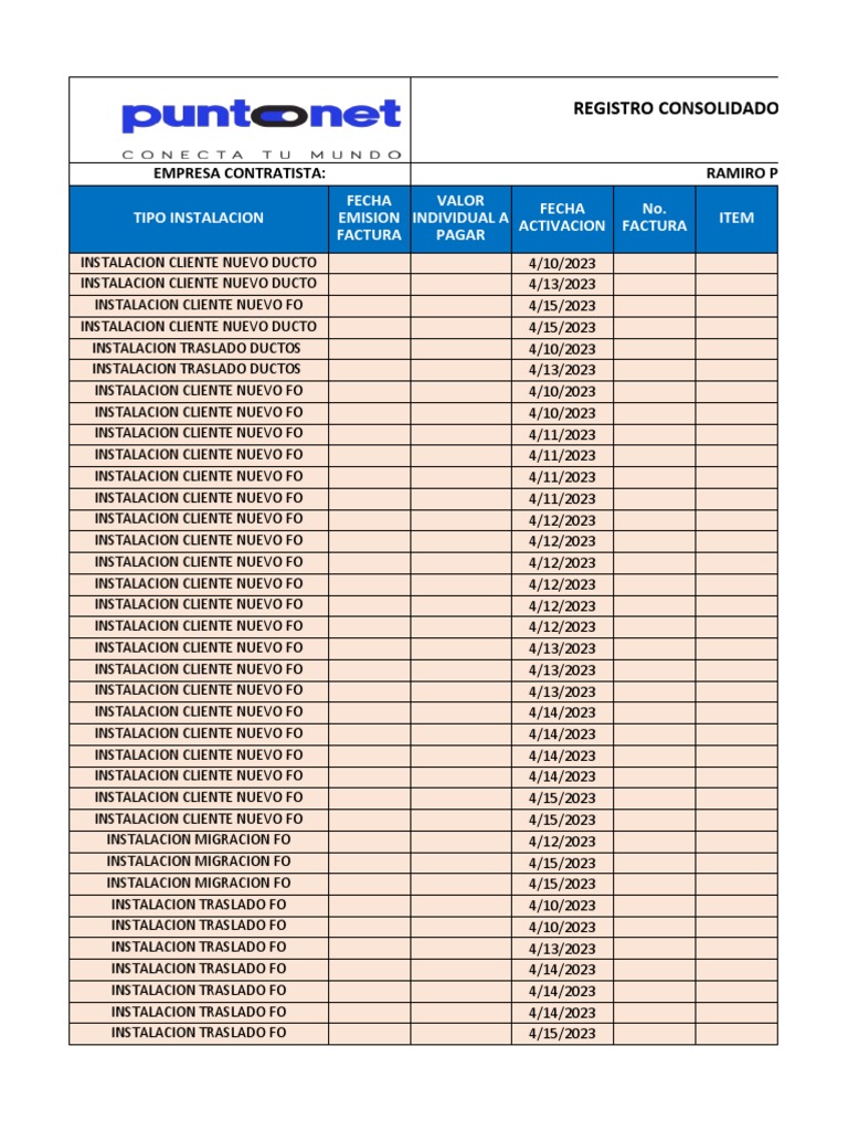 Nuevo Formato Consolidado RP | PDF