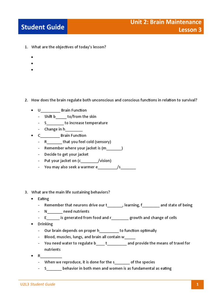 Brain Function & Nutrition Guide | PDF
