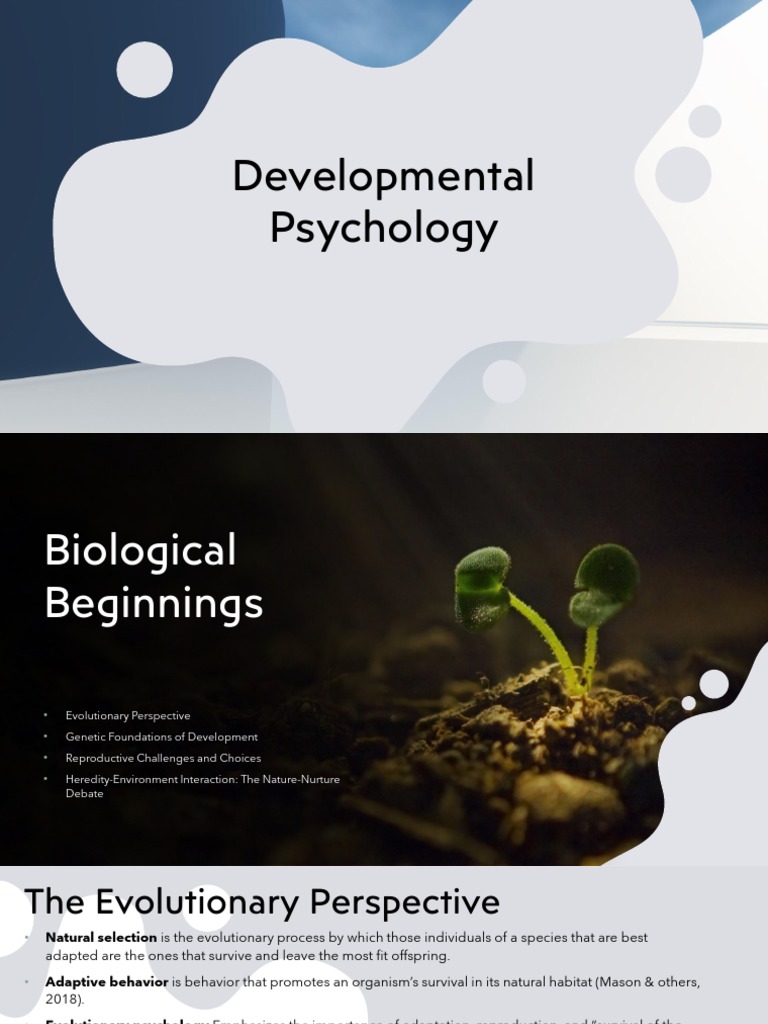 Developmental Psychology | PDF | Childbirth | Prenatal Development