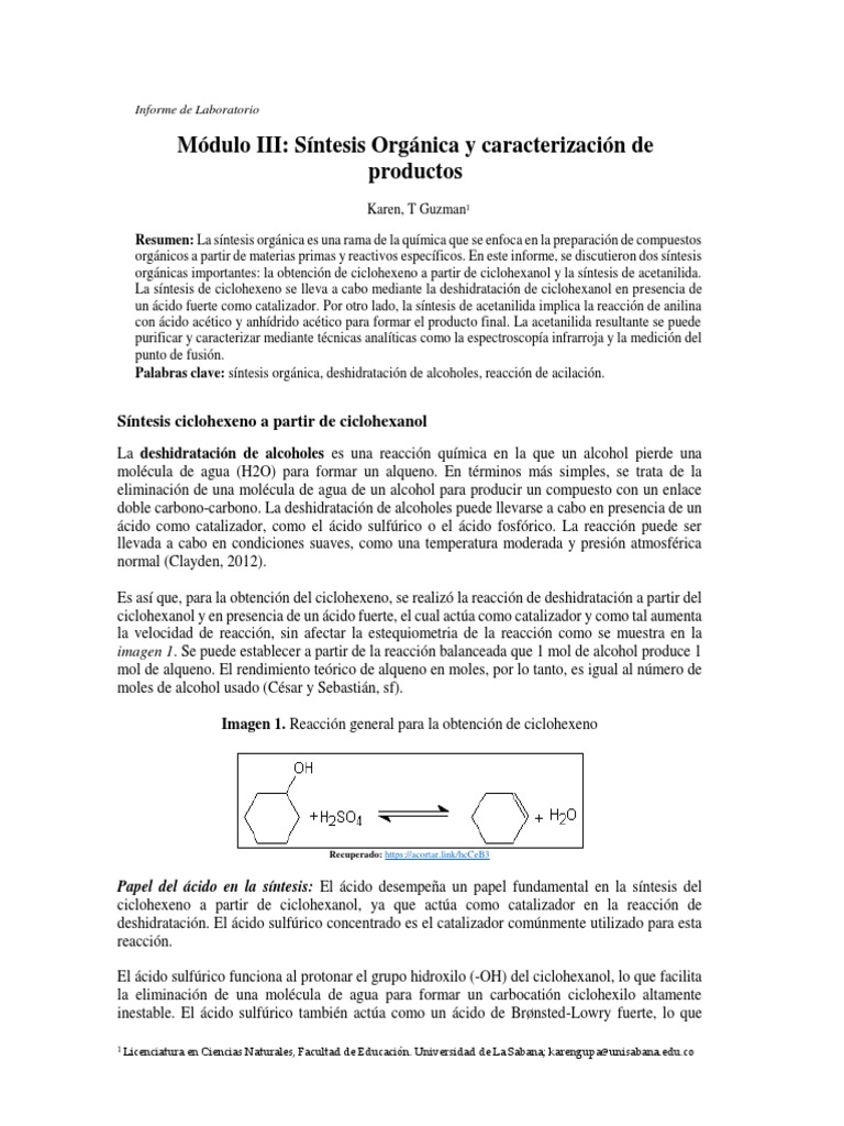 Informe De Laboratorio Módulo Iii Karen Guzmán Pdf Pdf
