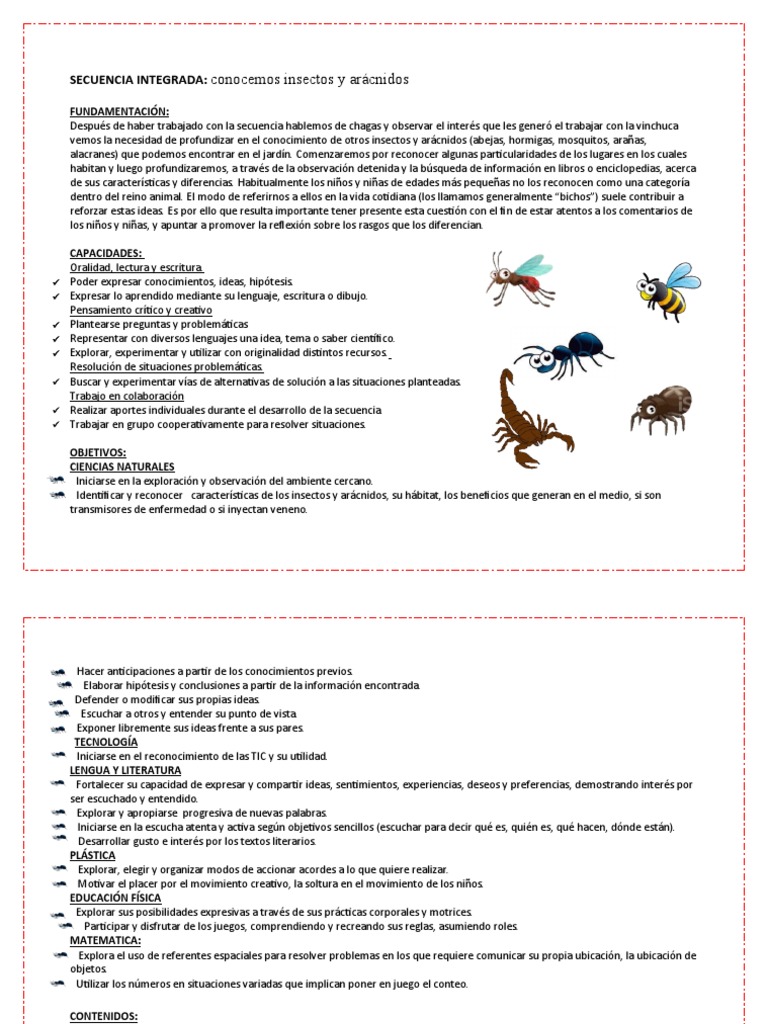 Insectos y Arácnidos en el Aula | PDF | Comunicación | Hormiga