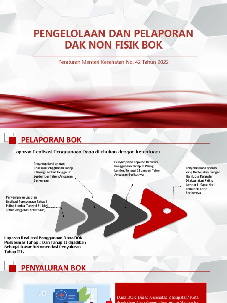 Pengelolaan & Pelaporan Dak Non Fisik Bok | PDF