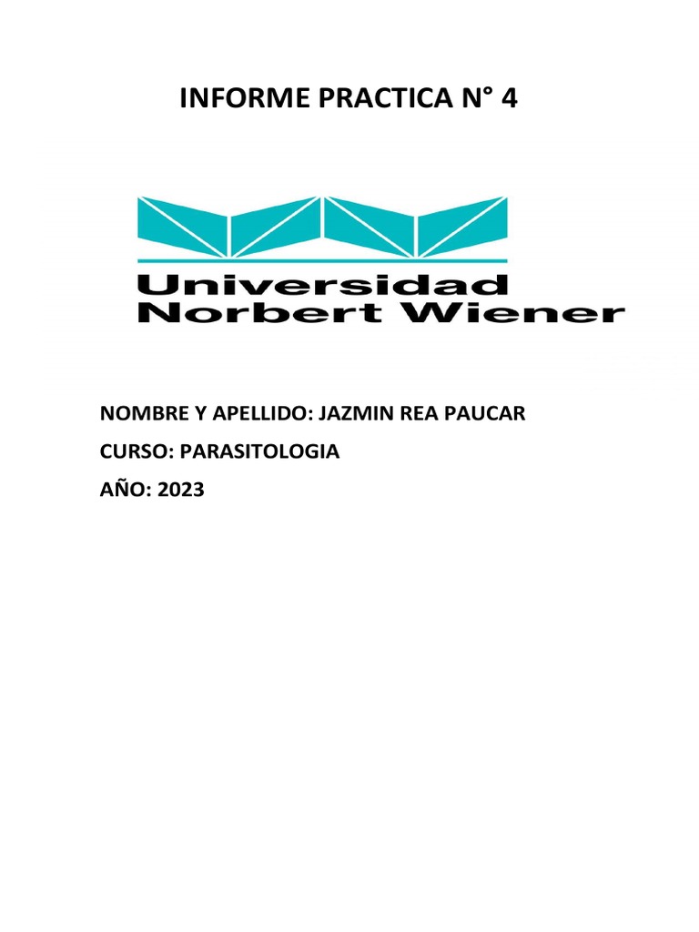 Informe Practica N4 Jaz1 PDF | PDF
