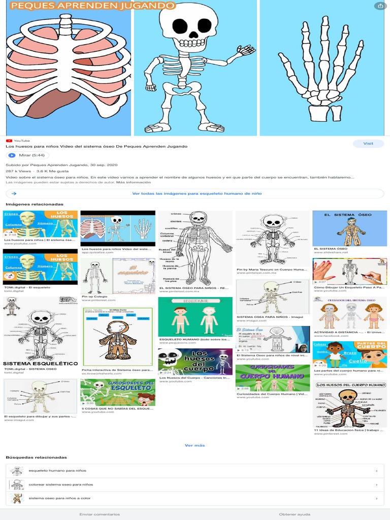 Searchq Esqueleto+humano+de+niño&rlz 1C9BKJA enMX951MX951&hl es-MX&ei 6ppAYa6zAYipqtsP1byvkA8&oq ...
