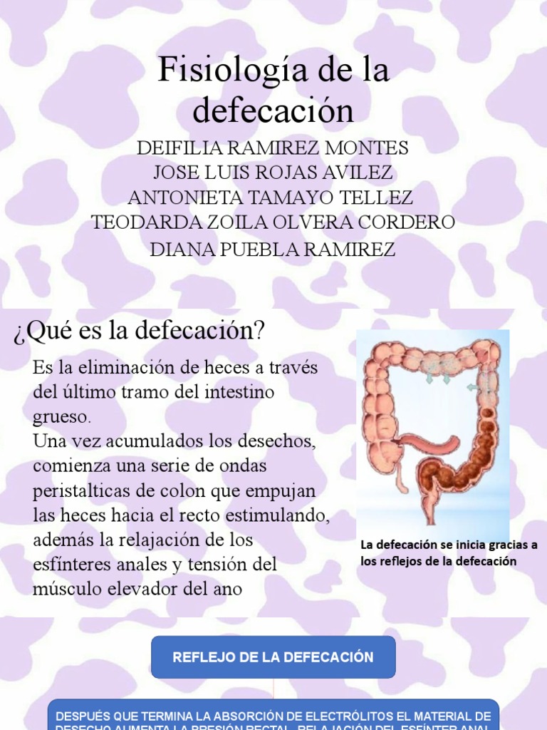 Reflejo de la defecacion.pptx | PDF