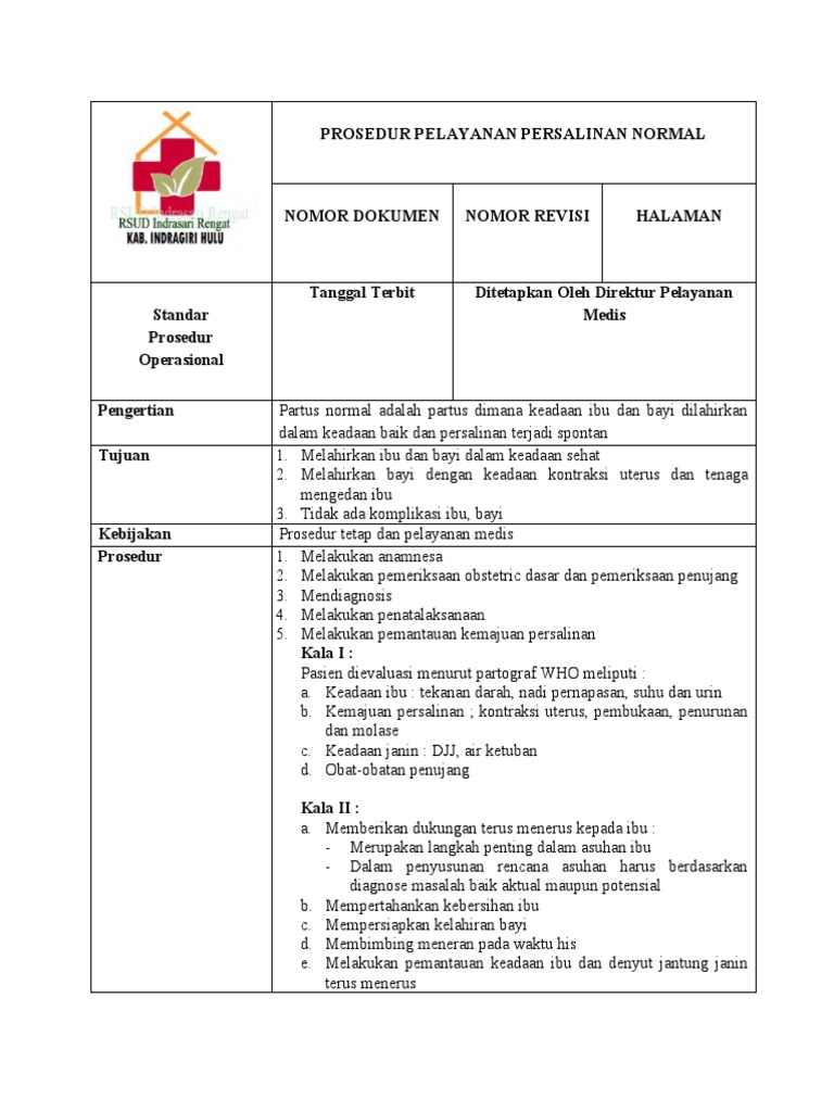 PPK Persalinan Normal | PDF