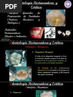 Etapas Del Proceso Infeccioso | PDF | Infección | Las bacterias