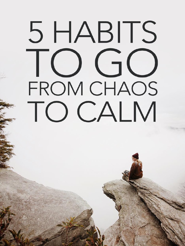 5 Habits To Go From Chaos To Calm.pdf | PDF