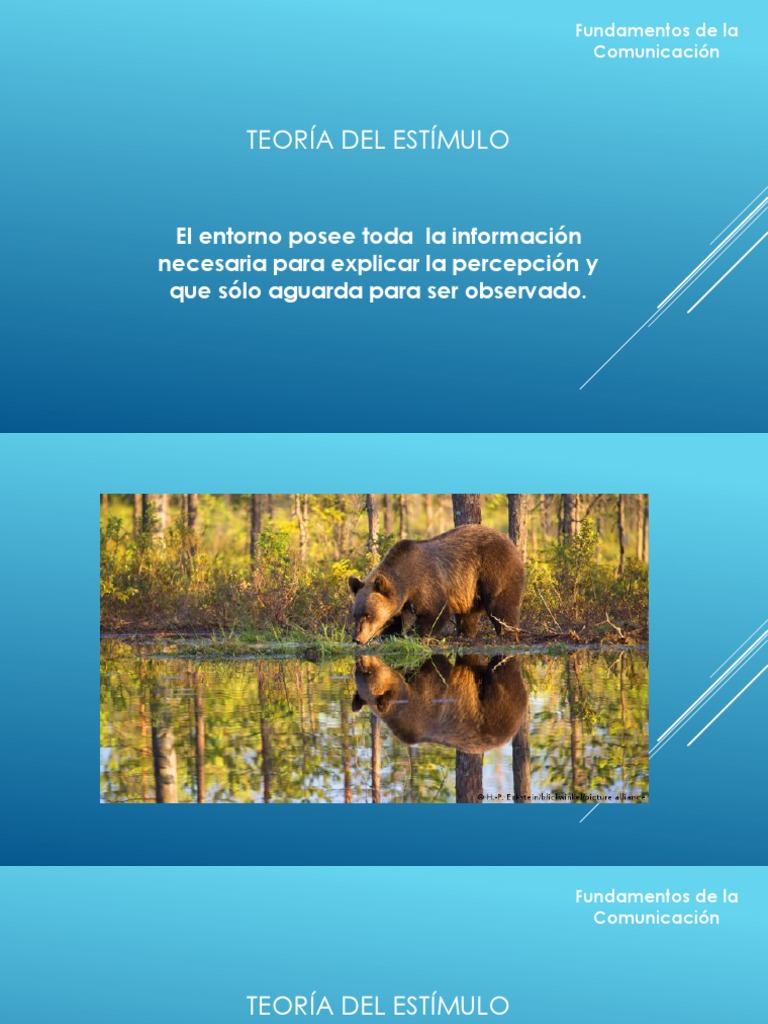 La teoría del estímulo y la teoría del terreno en la formación de la ...