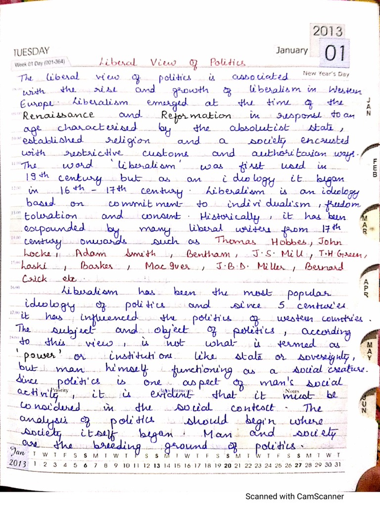 Liberal View of Politics PDF | PDF