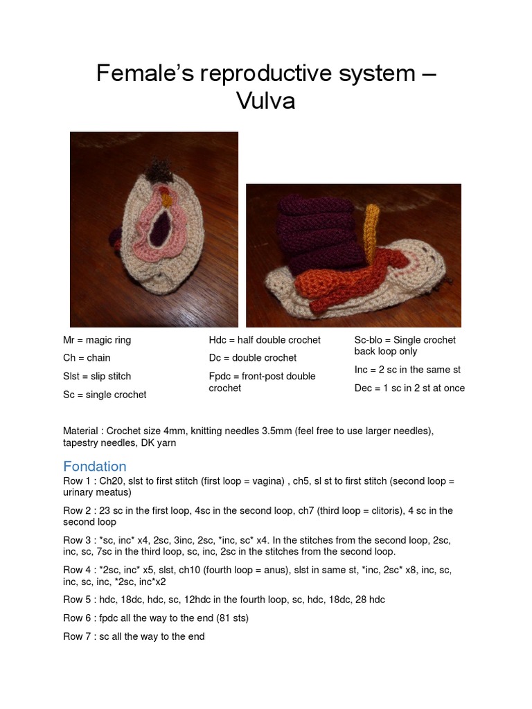 Vulva - Instructions-1 PDF | PDF