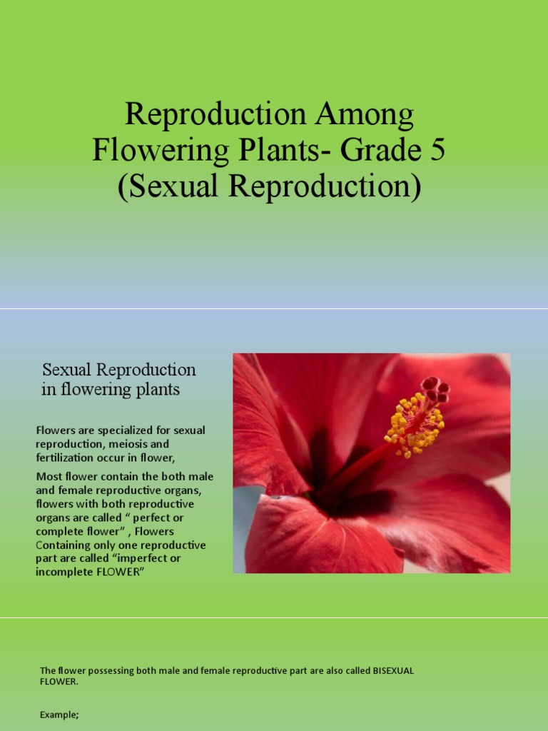 Reproduction Among Flowering Plants Grade 5 | PDF