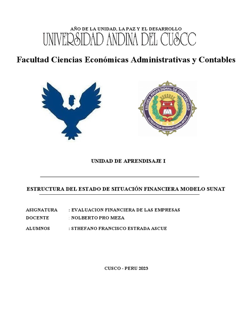 Estructura Del Estado de Situación Financiera Modelo Sunat | PDF