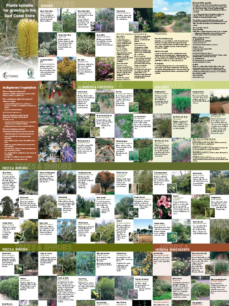 Surf Coast Shire Alternative Plants Guide | PDF