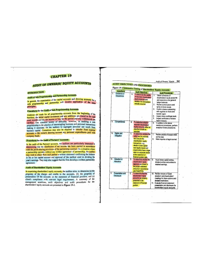 Audit of Equity Cabrera | PDF