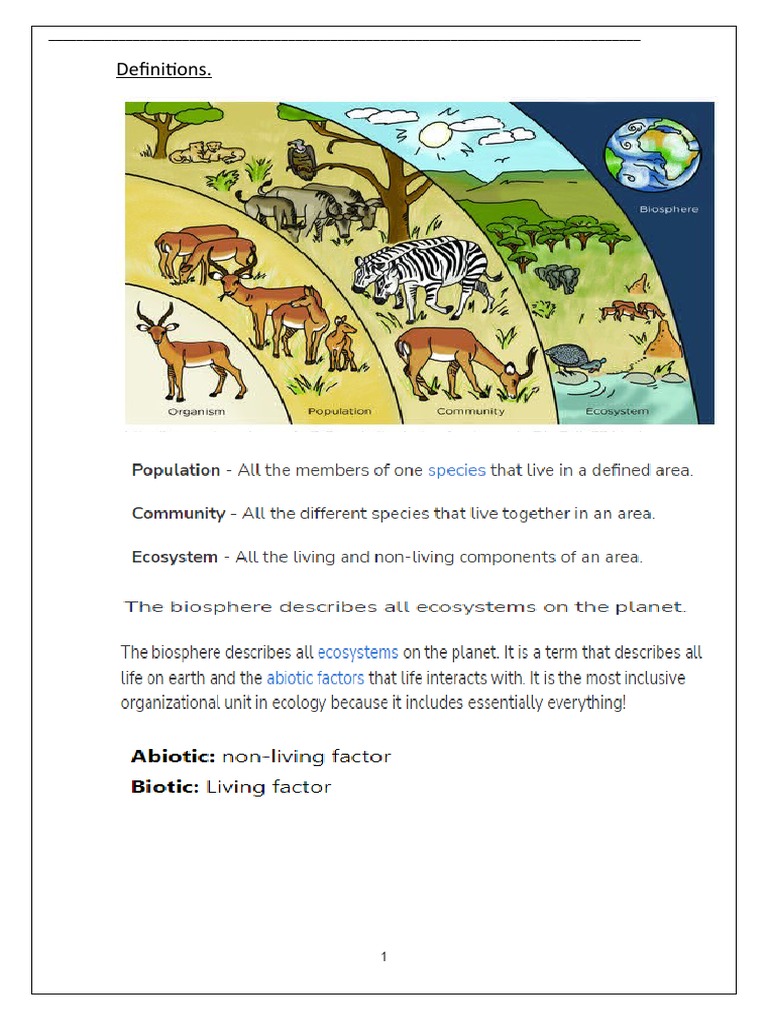 Ecology Notes | PDF