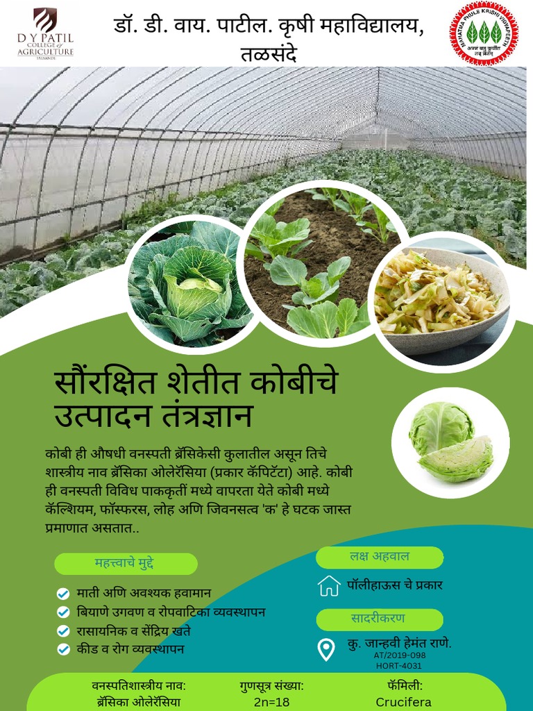 HORT Internal PPT Pamphlet PDF | PDF