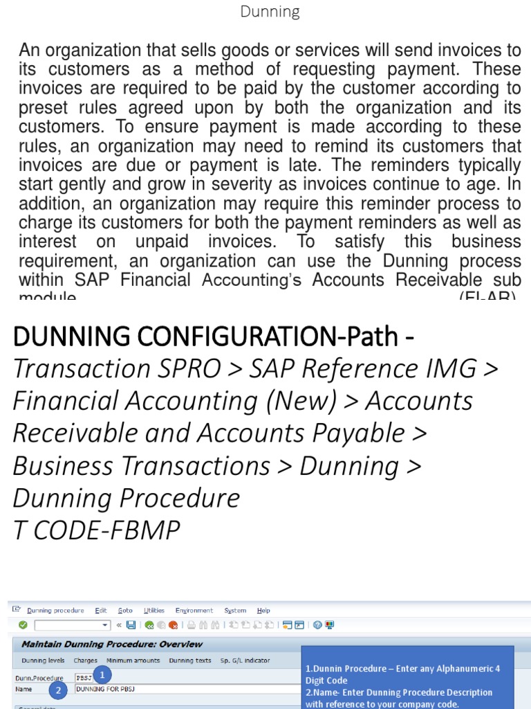 Dunning Process | PDF