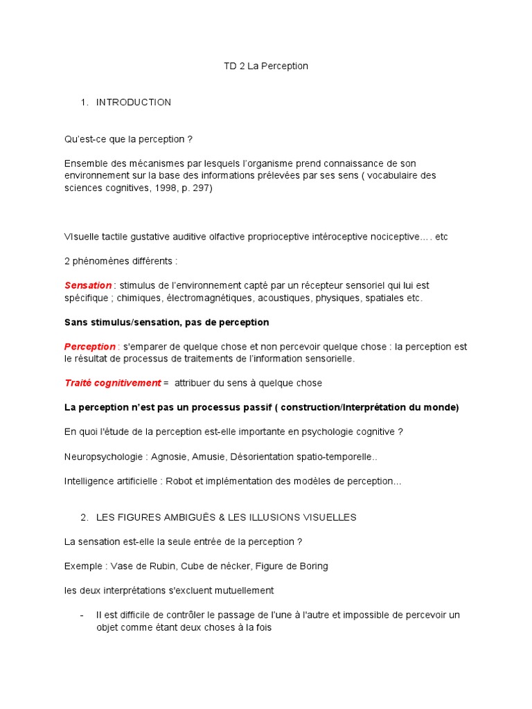 Comprendre la Perception et ses Mécanismes | PDF