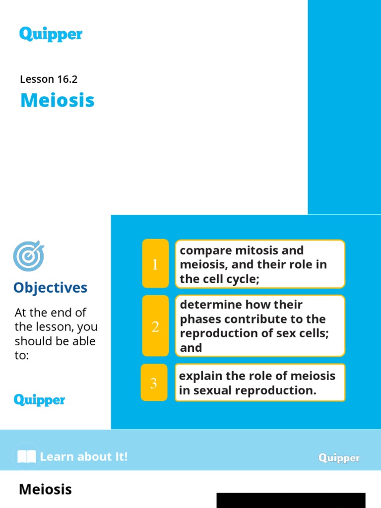Science 8 16.2 Meiosis | PDF | Meiosis | Mitosis
