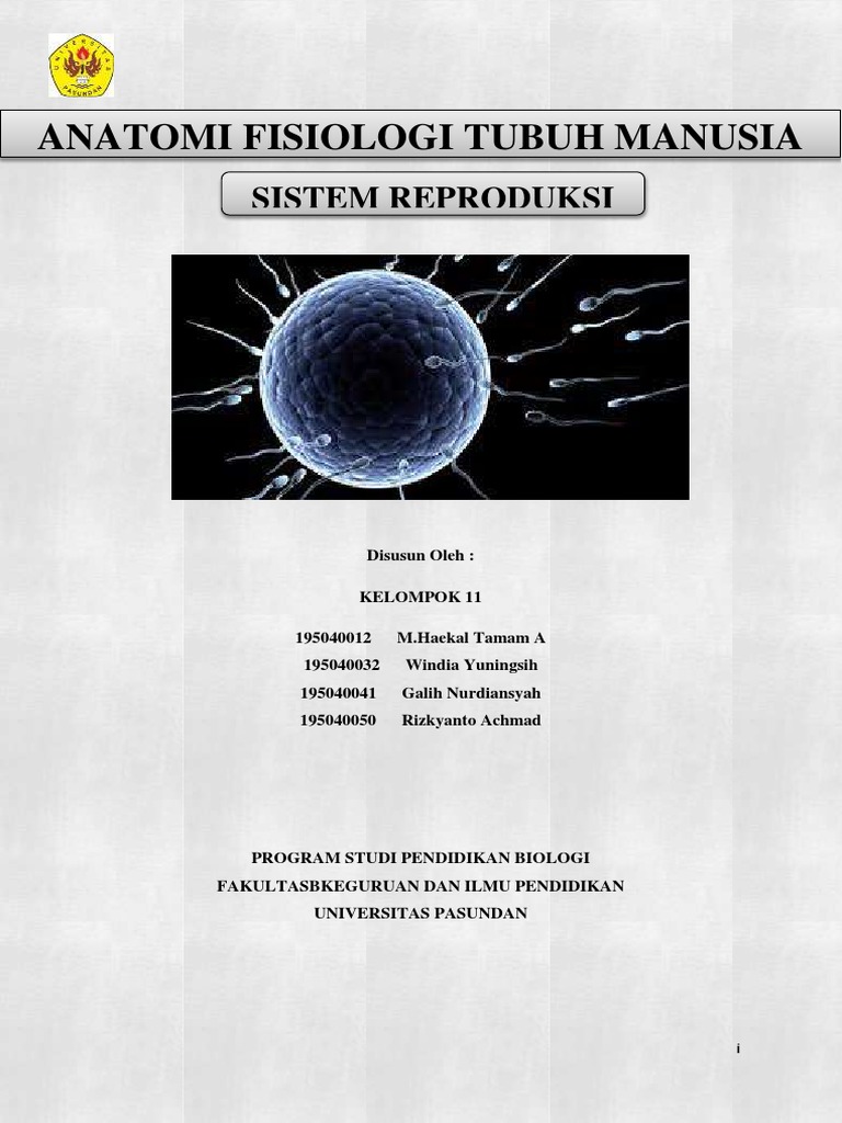 Kelompok 11 - Bahan Ajar Sistem Reproduksi Pada Manusia PDF | PDF