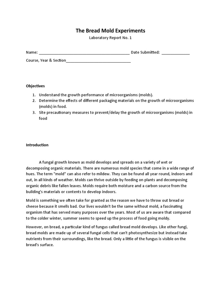 Bread Mold Growth Experiment Report | PDF