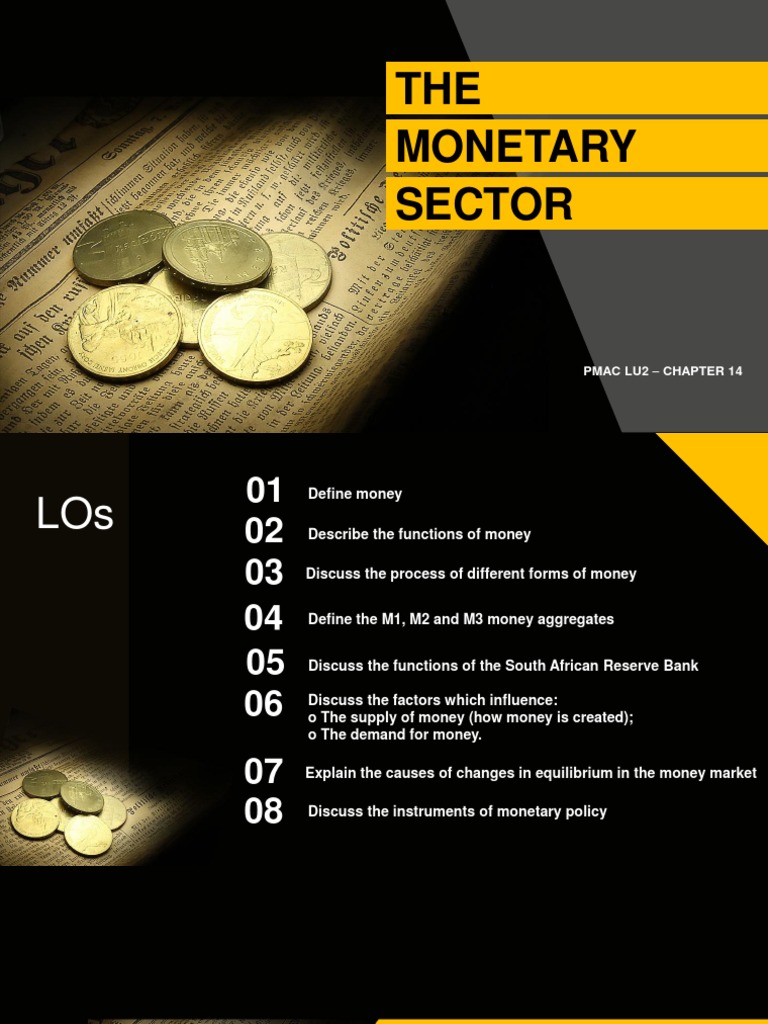 Understanding South Africa's Monetary Sector | PDF