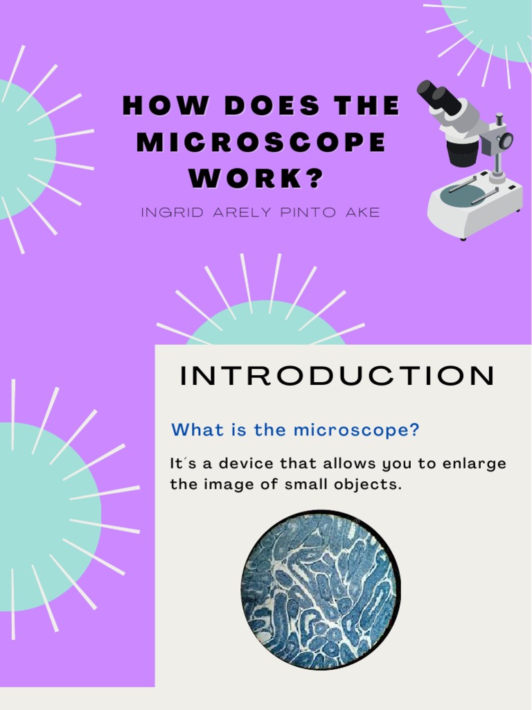 How Does The Microscope Work PDF | PDF