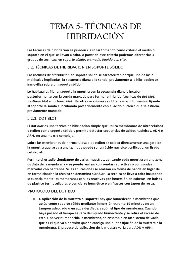 Resumen Tema 5 | PDF