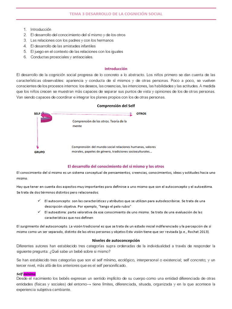 Tema 3 Social | PDF | Autoestima | Mente