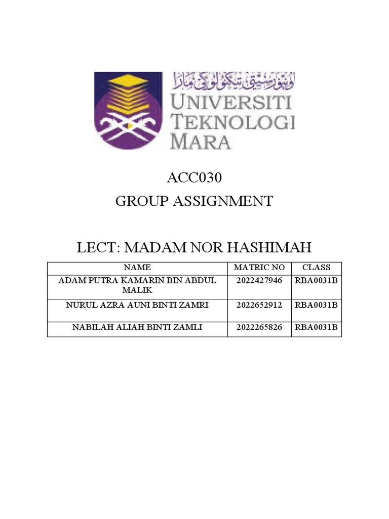 ACC030 Grouping Assignment | PDF