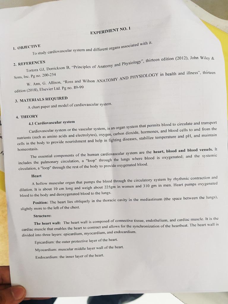 Hap Practical 1 PDF | PDF