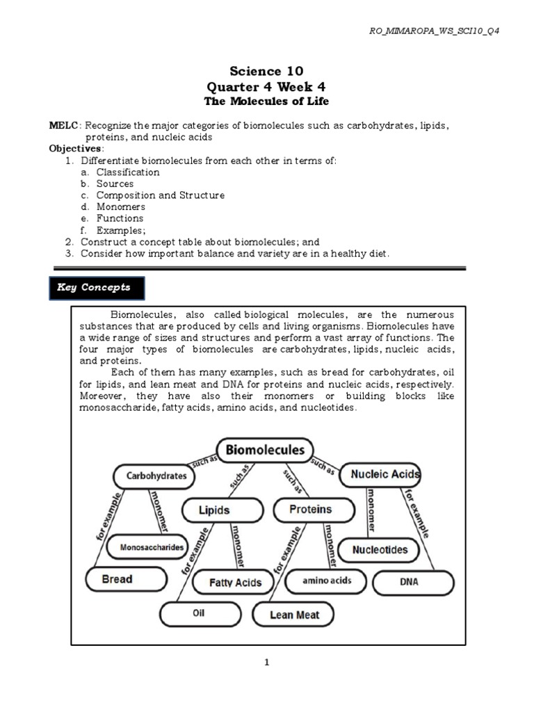 Science10 - Q4 - Week 4 The Molecules of Life PDF | PDF