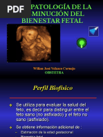 Clasificación de Grados de Placenta Grannum | PDF | Placenta | Parto