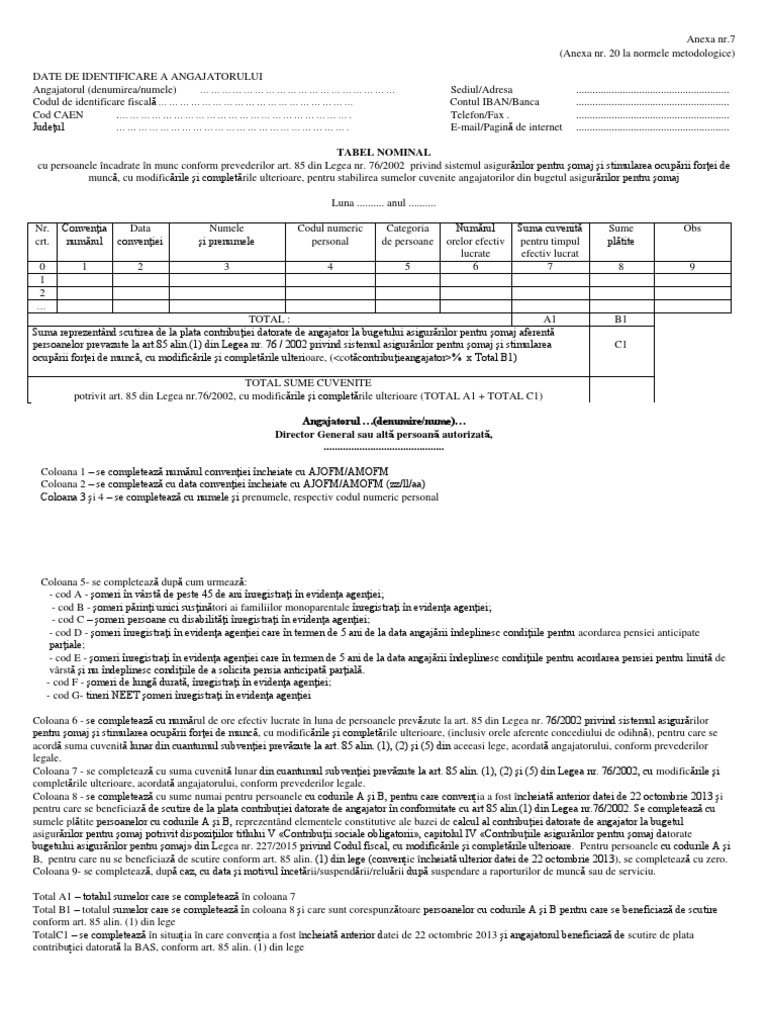 Anexa 7 Somaj PDF | PDF