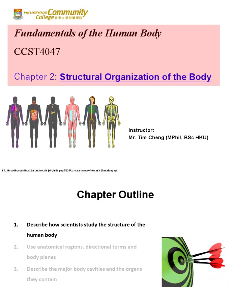 #2 Structural Organization of The Body PDF | PDF