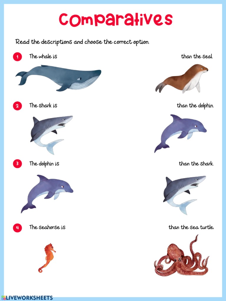 sea animals comparatives.pdf | PDF