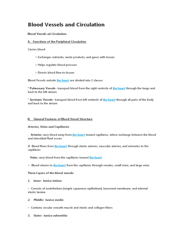 Blood Vessels and Circulation | PDF
