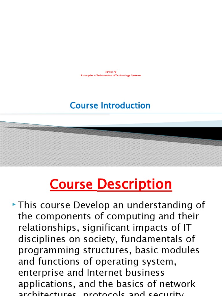 IT 201: Principles of Information Systems | PDF