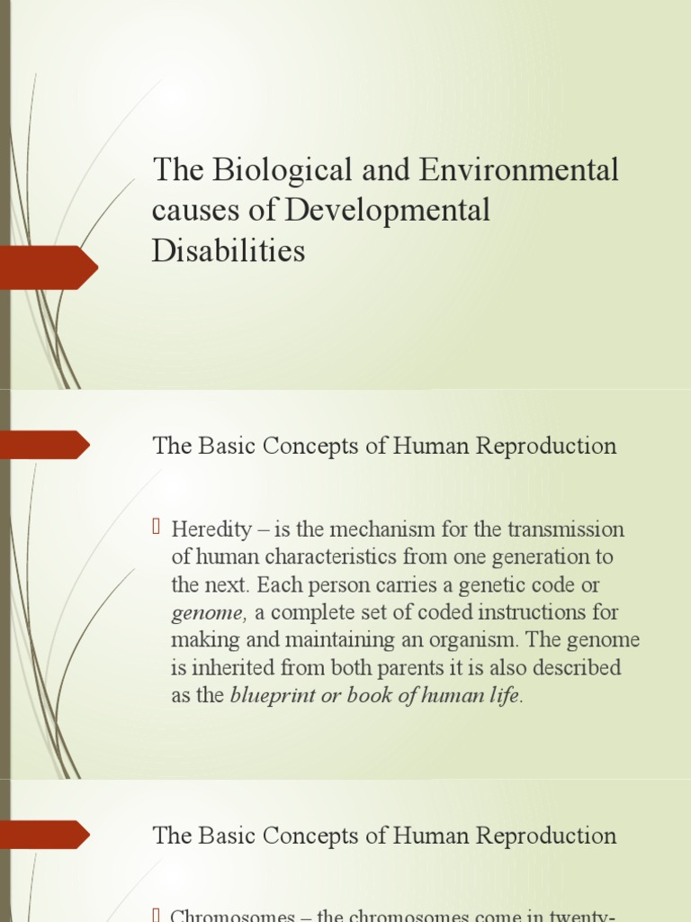 The Biological and Environmental Causes of Developmental Disabilities ...