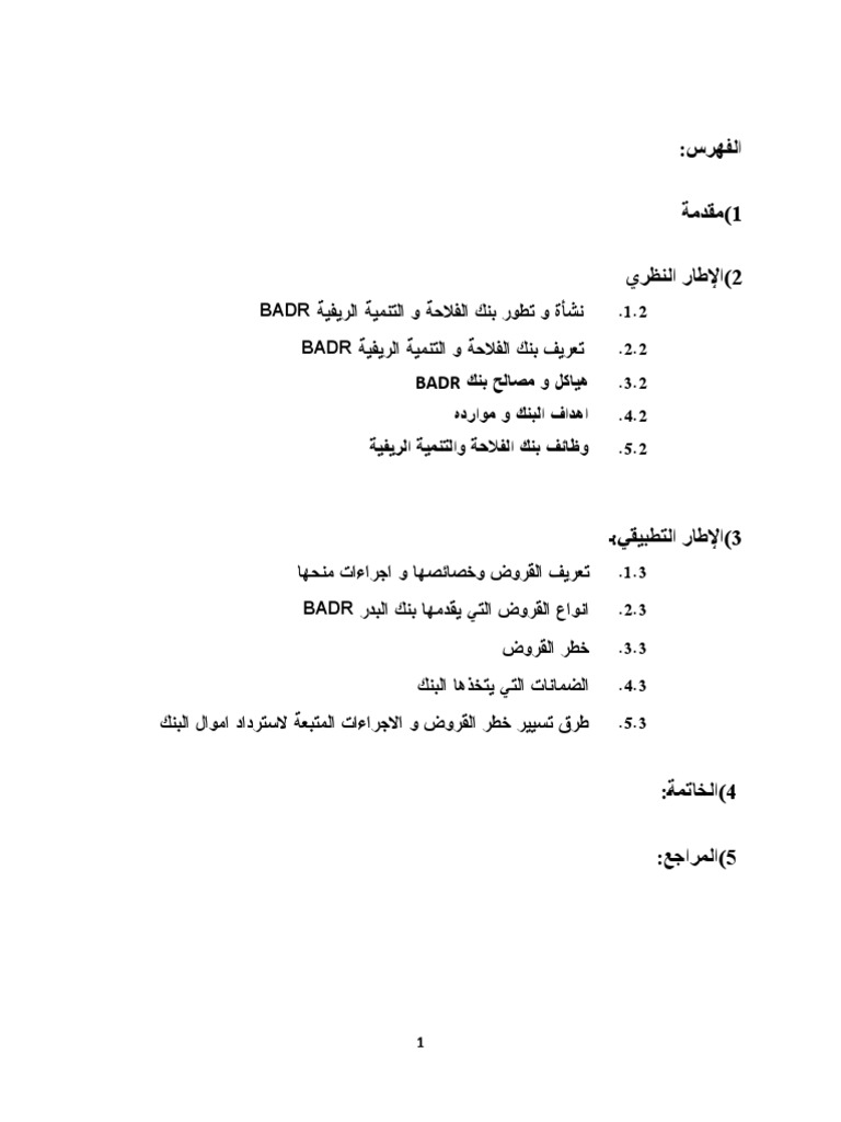 Rapport de Stage (BADR) | PDF