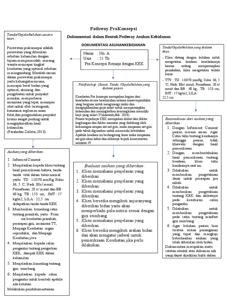 Pathway PraKonsepsi | PDF