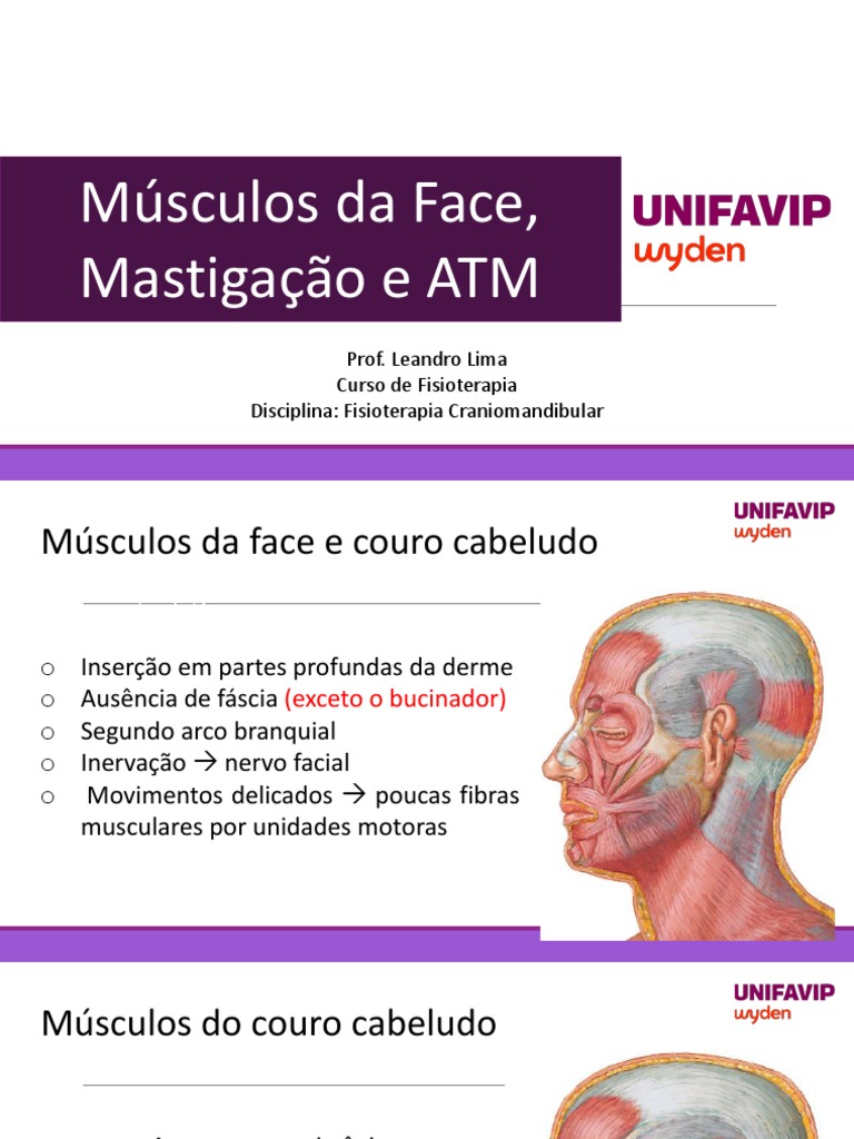 Aula 1 - Músculos Mastigação, Face e ATM | PDF