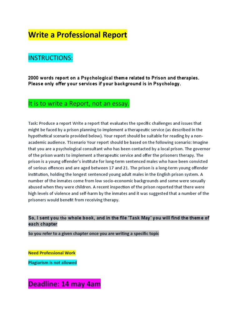 Write A Professional Report | PDF