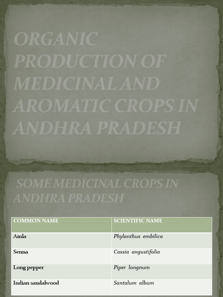 ORGANIC PRODUCTION OF MEDICINAL AND AROMATIC CROPS IN ANDHRA PRADESH ...