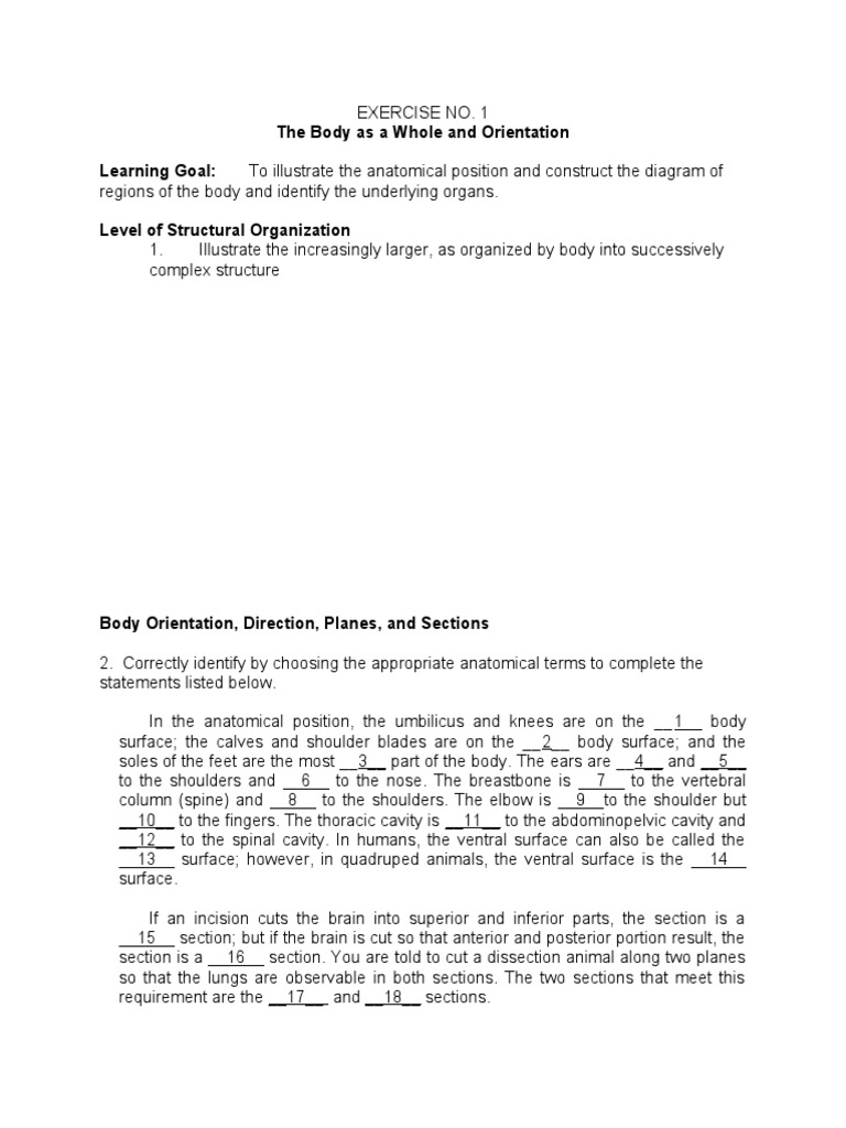 Lab Exercise No.1 | PDF